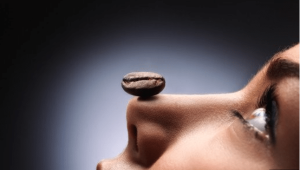 The Smells Which Make People Spend More Money: Scent Marketing ...