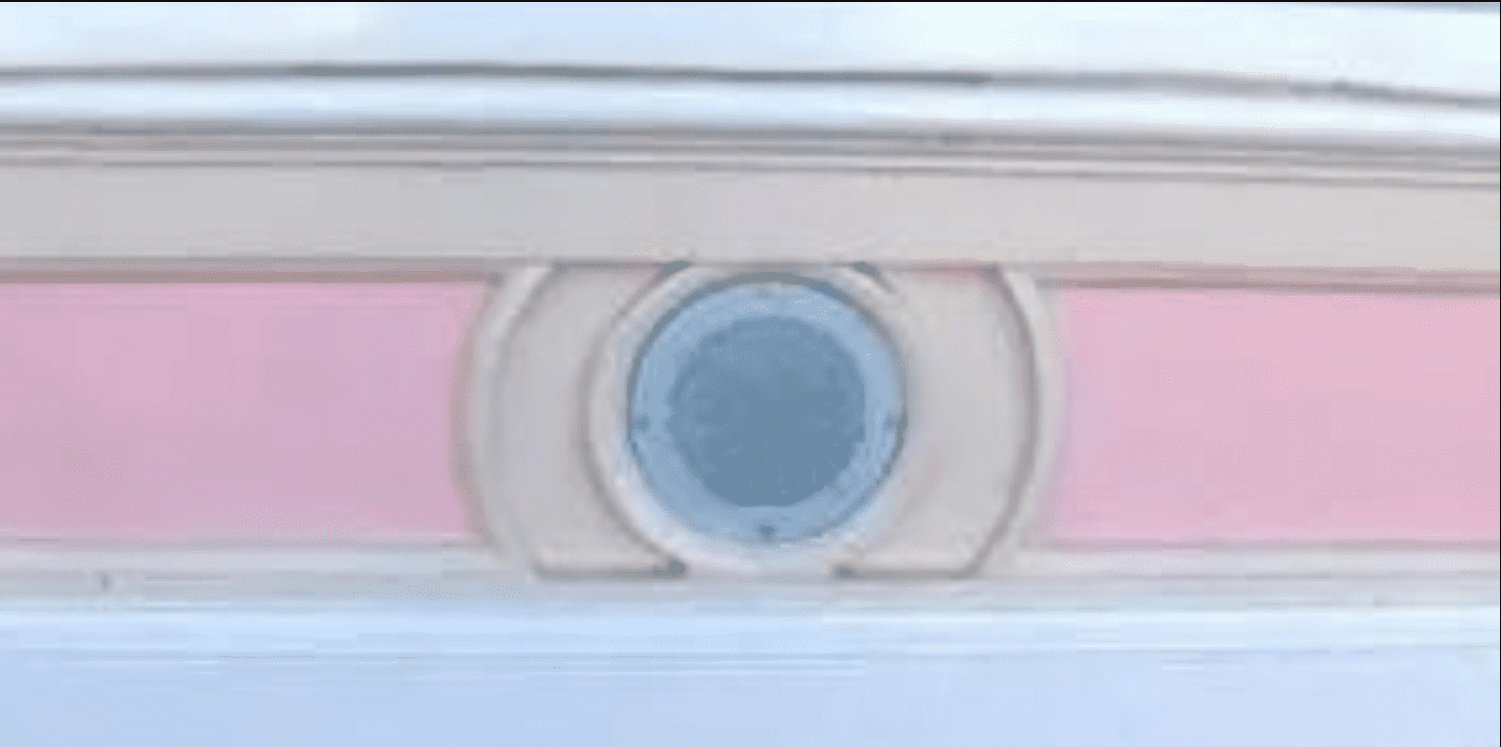 Aromas Of Disney: The Magic Behind Park Smellitizers — Marketing Mind